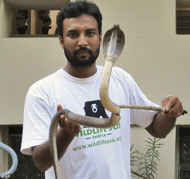 snake – சொல்வனம் | இதழ் 362 | 08 மார் 2026