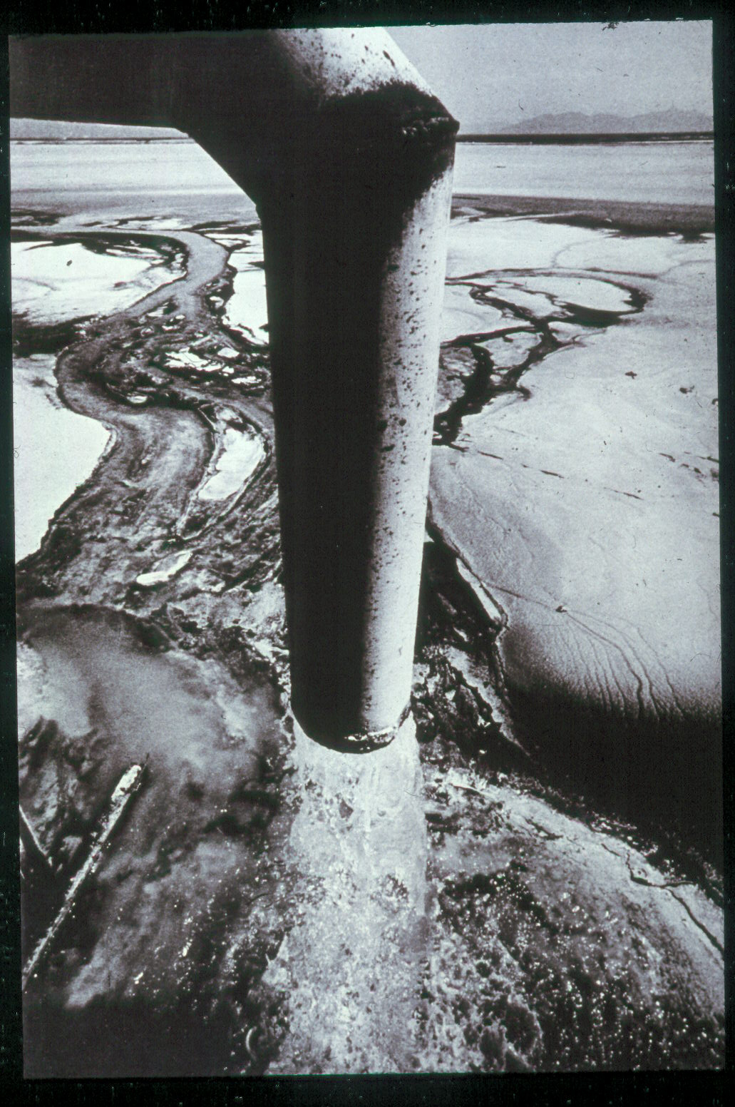 smith-chisso-corp-waste-water – சொல்வனம் | இதழ் 352 | 12 அக் 2025