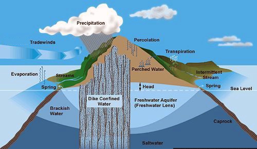 Sea_Salt_Rain_Underground_Water_Table – சொல்வனம் | இதழ் 349 | 24 ஆக 2025